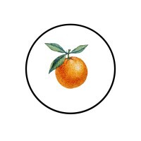 The Orange Guide - EarlyBirds Open Innovation Ecosystem